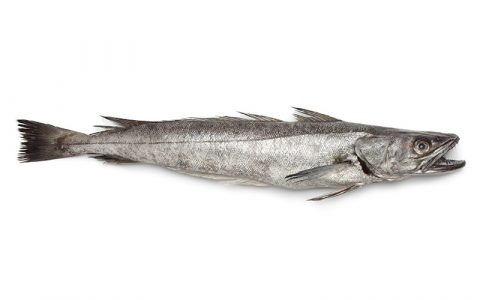 L. Williamson Fish Sales – – Quality fish buyer from Shetland
